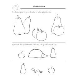 Cahier de graphisme pour Grande Section - Collection Papillon
