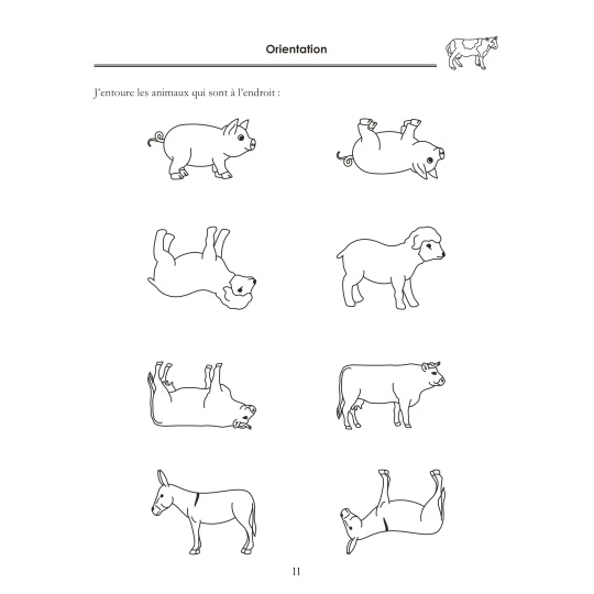 Cahier de Notions de bases 3 PS Cahier de Notions de bases 3 PS