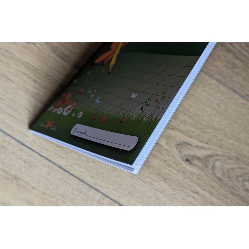 Cahier de Notions de bases 1 pour MS- Collection Papillon